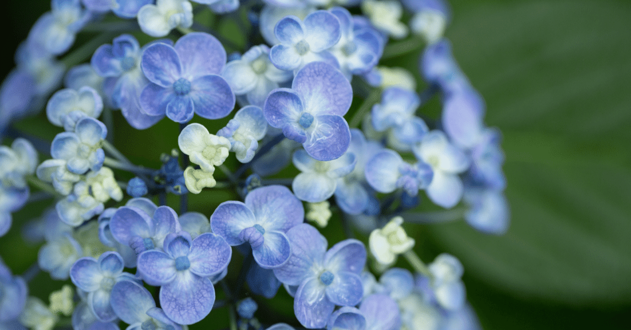 『彼のいる生活』（日本／テレビドラマ／2024）｜Jade Wang