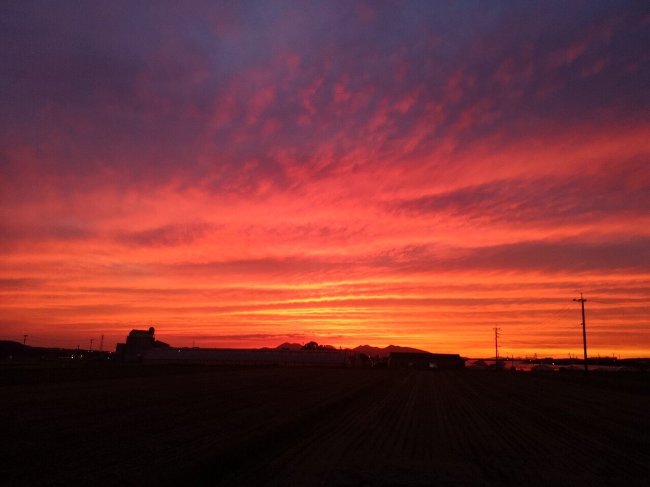 sora_purecolorx86｜note