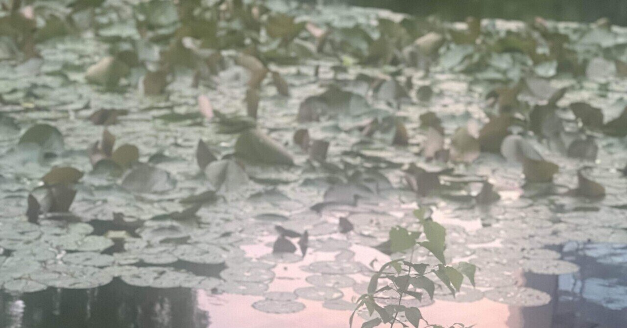 Day33 調理班の日｜neomiz