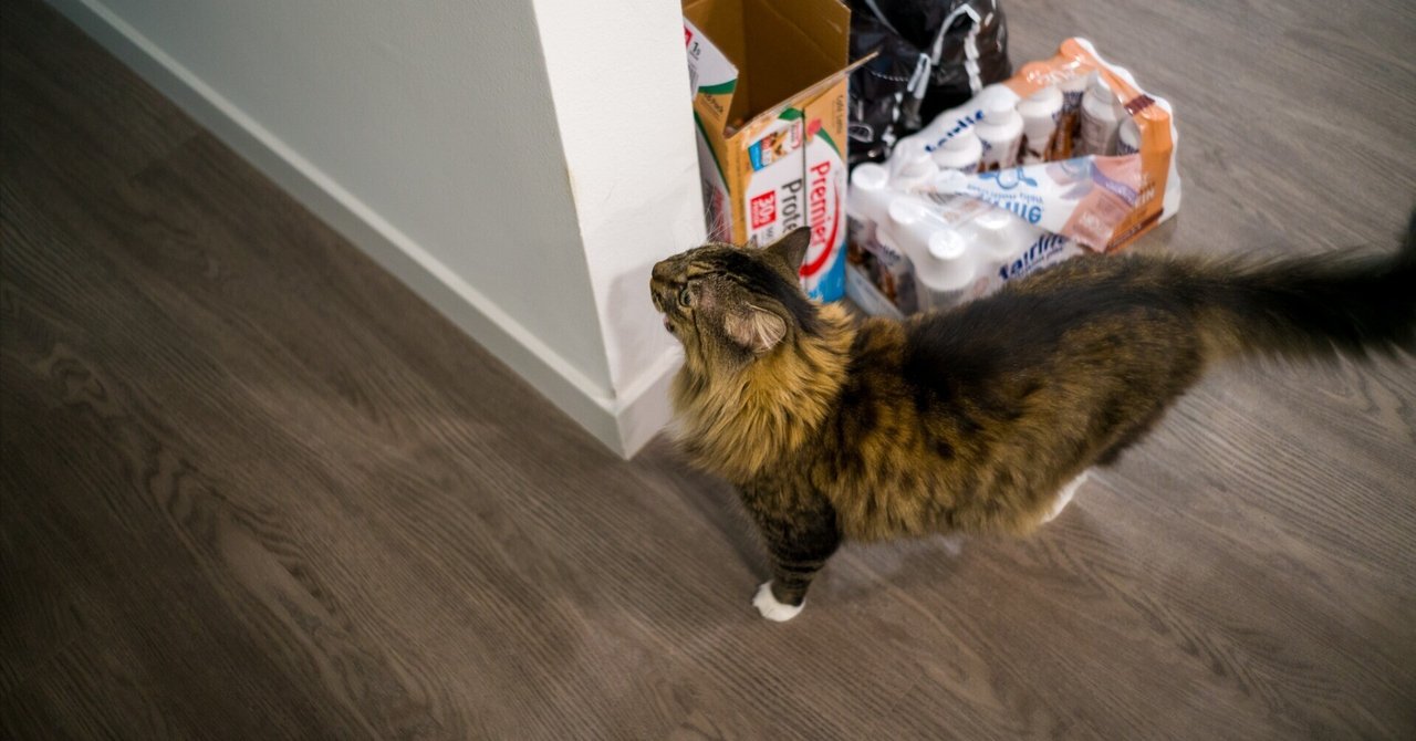 Sunny Tuesday｜helloryuji