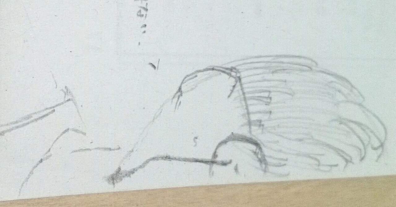 髪型｜_ruyne