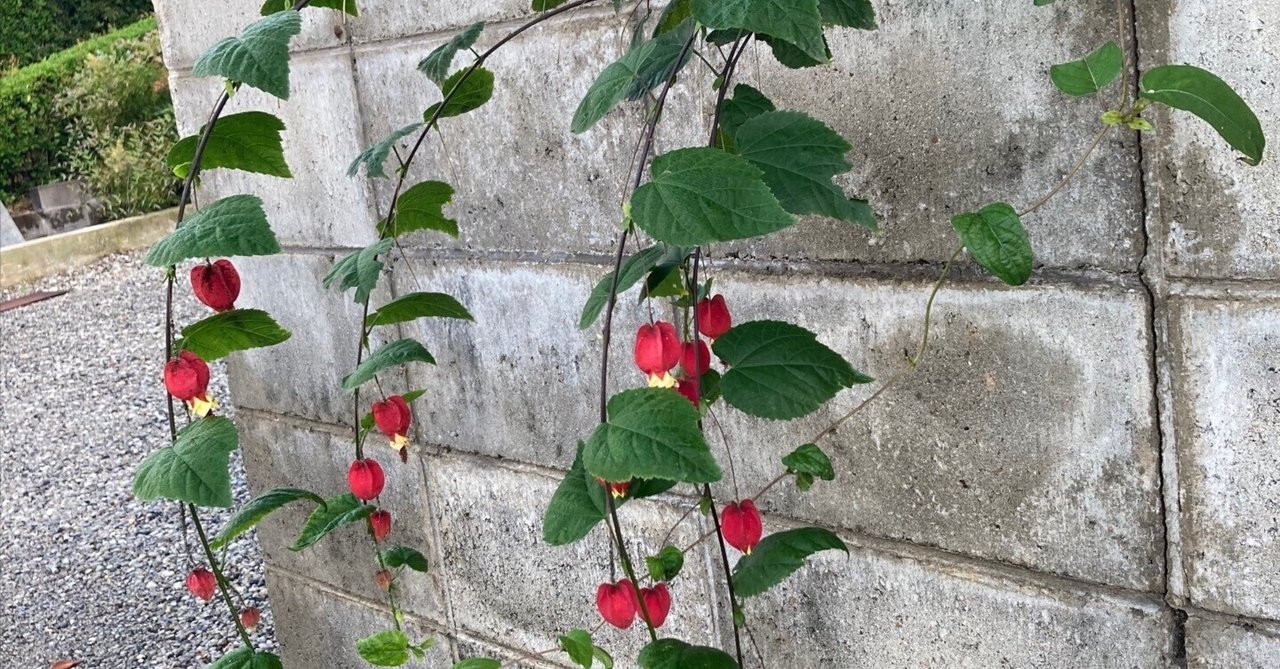 Yukihiko Yamada ｜note