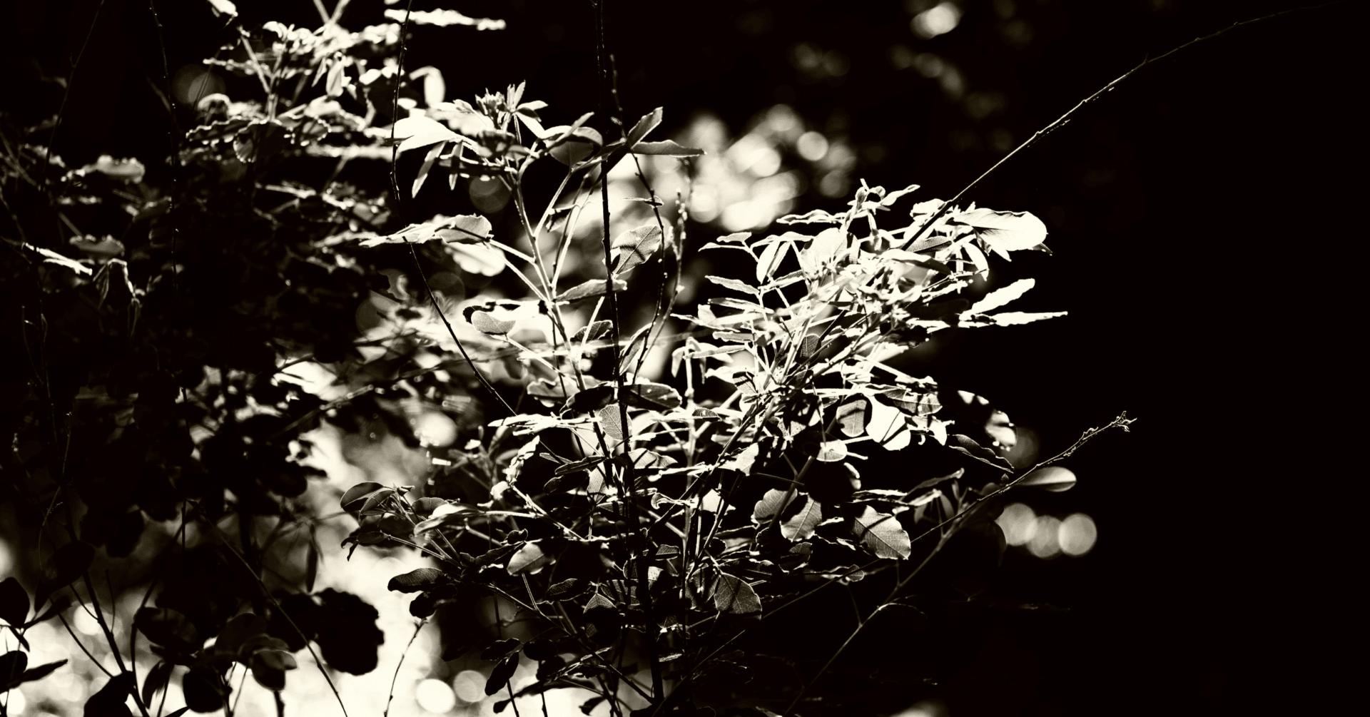 Ryosuke Matsusima｜note