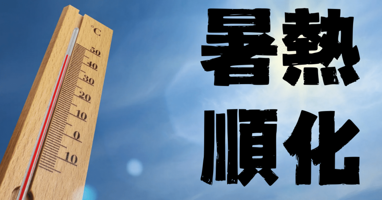 暑熱順化の方法｜M.shibu