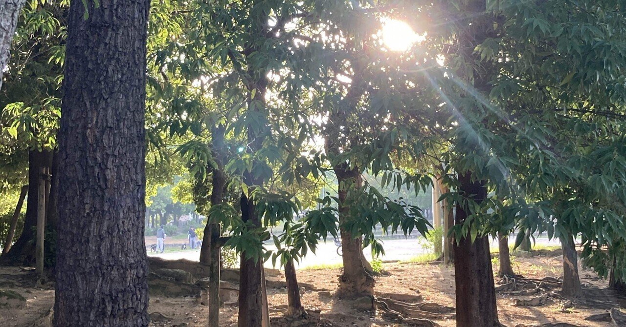 脳内ドーパミンデトックス！SNSを断って見えた新世界｜atelier_dnote