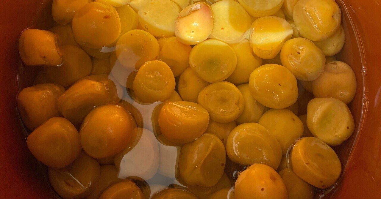 梅酢｜Imatomi Aiko