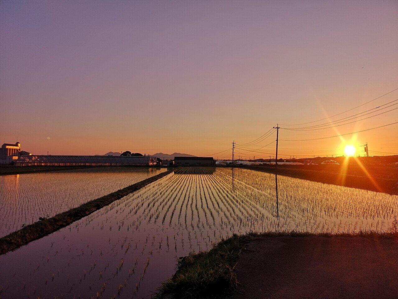 sora_purecolorx86｜note