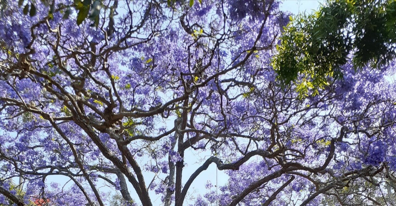 noteを始めて1週間｜Arai Nami