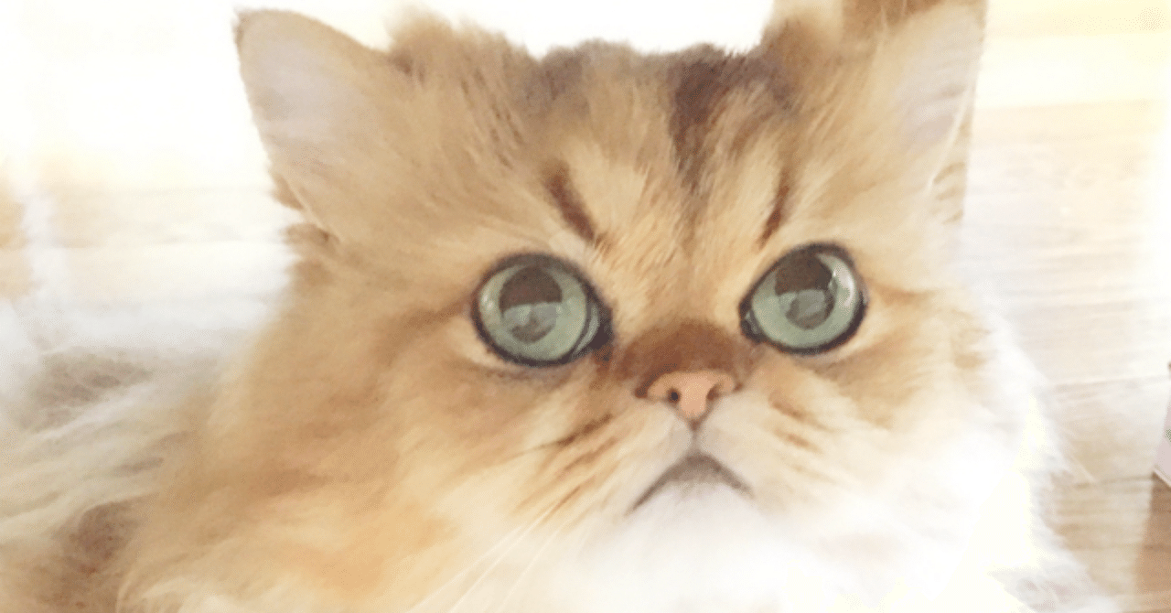 脳出血で倒れた日｜Salvatore 桃華 Akemi