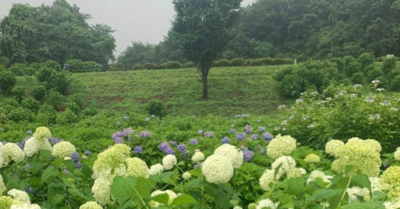 FIREではないのです｜エーショー西郷（Kazu K）