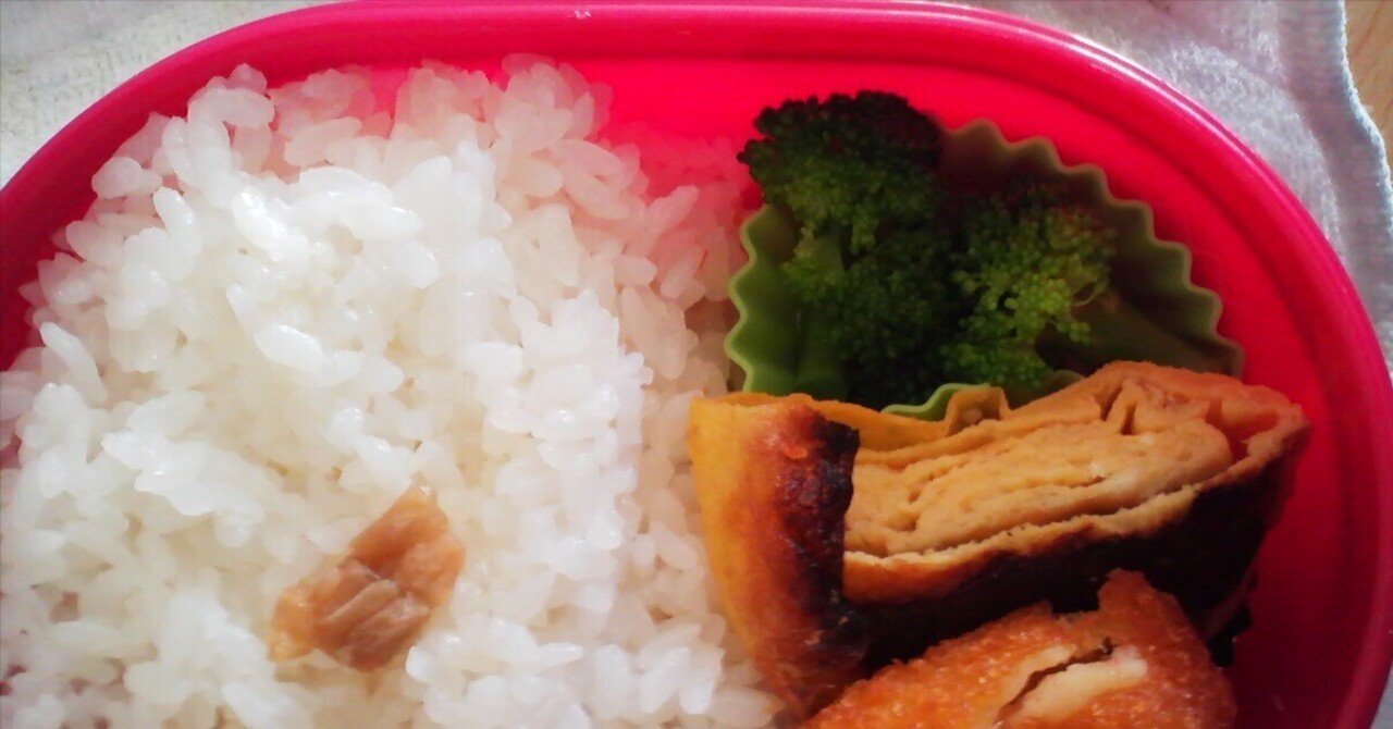 『骨を彩る』彩瀬まる(2017)｜読書感想文 ｜Arai Nami