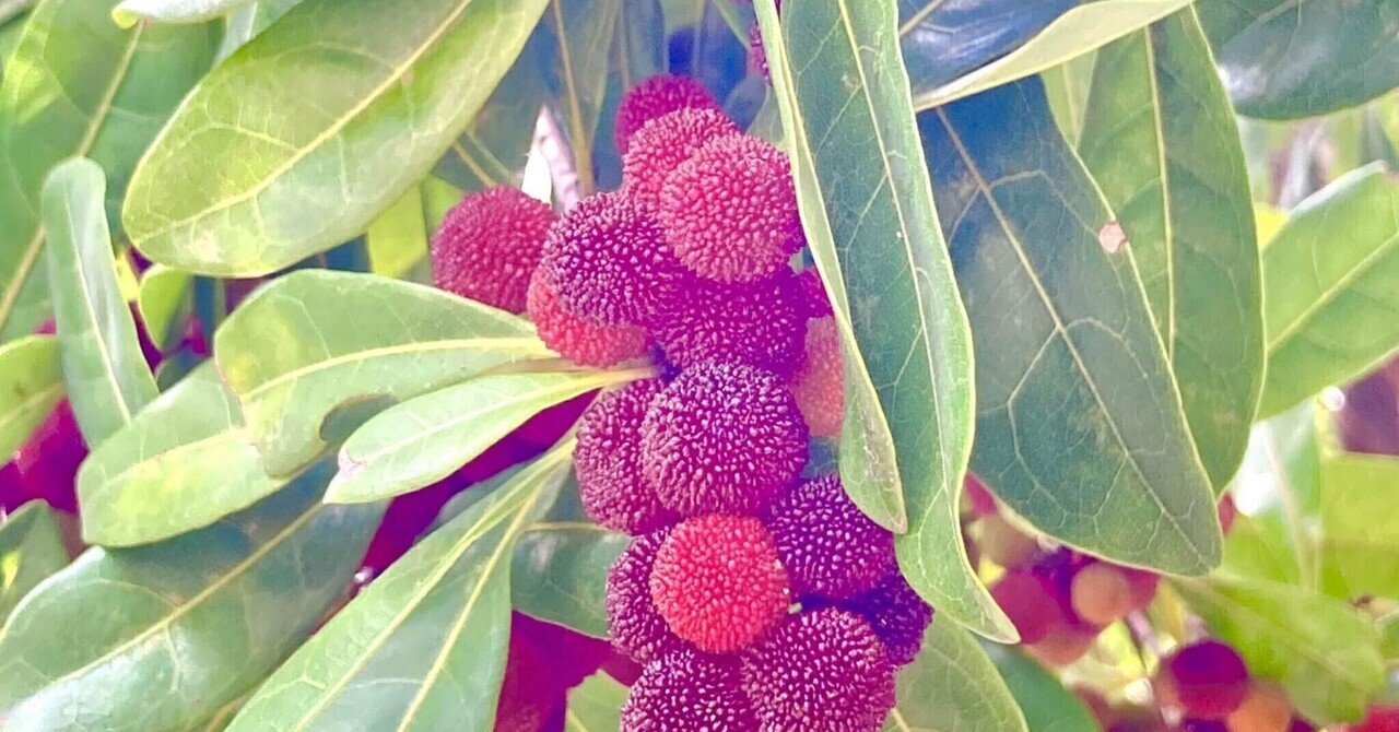 最期の悔い｜yukik