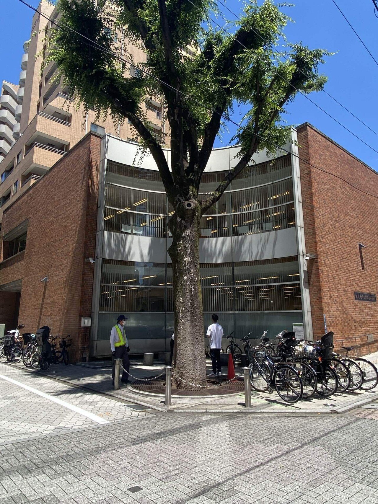 東京建築巡り〜ケヤキの木を囲むような図書館｜東京の建築&アート巡りオタク@tanrock