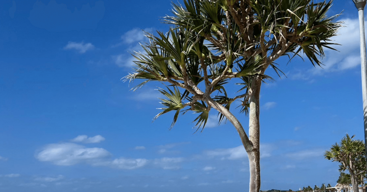 幹を太くするために｜Yutaro Suzuki-鈴木優太郎-JULIA