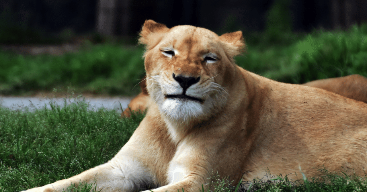 性善説から性悪説に変わる瞬間。｜味園健治 K.Misono【365日コンサルnote】