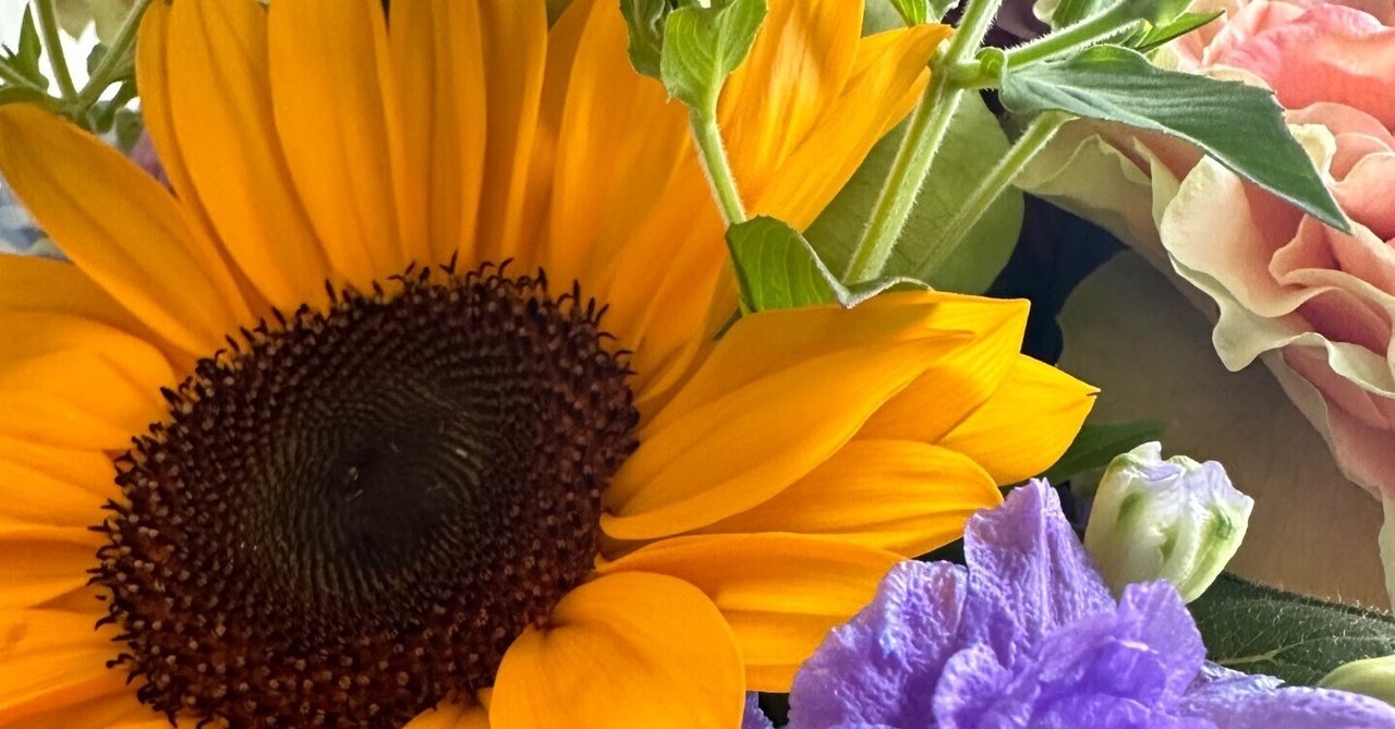 自己紹介｜sui_awareness