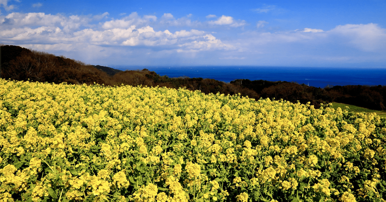 本当にあるもの｜FXkaz