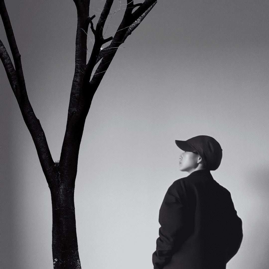 A tree｜TAiRA（たいら）in Malaysia / 文筆家