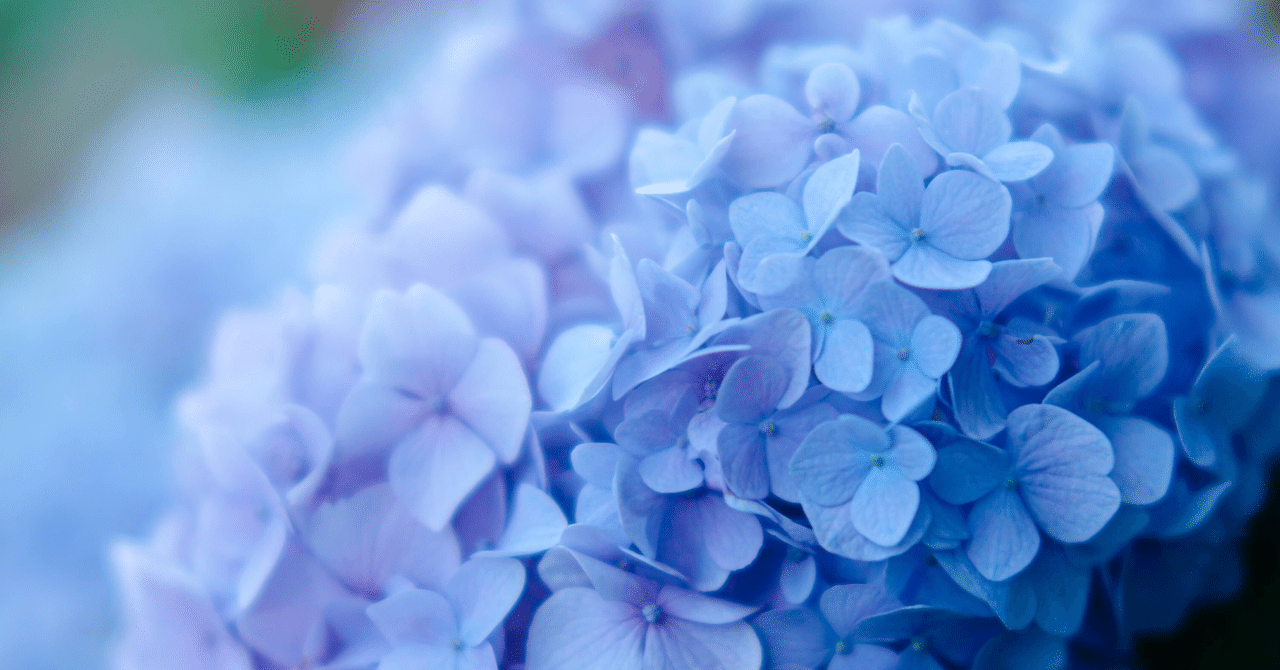 『25時、赤坂で』（日本／テレビドラマ／2024）｜Jade Wang