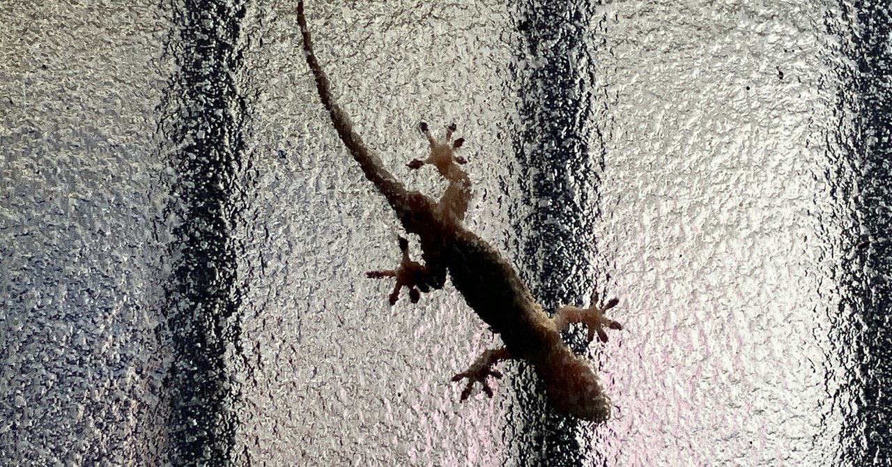 ふと・・・思う｜poporin