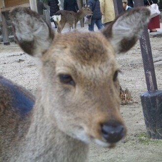 Sunoで作った曲をnarasuで配信登録してみた（1）： 登録の流れまる見せ編｜創作実験HIRO