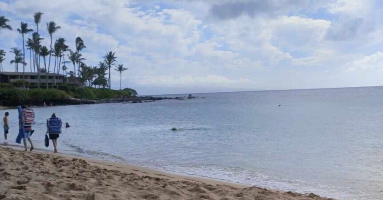 【Day 1】共に進める力｜Kako