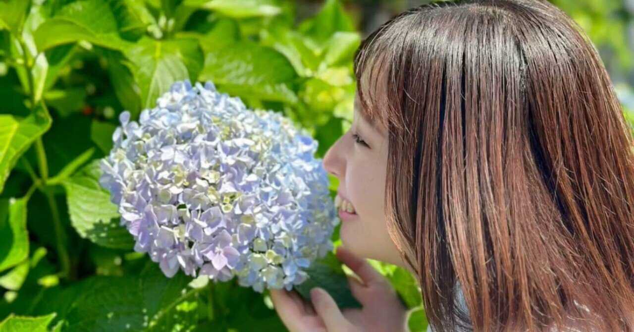 無意味な比較からの脱却|soyokaze Corehumanresources