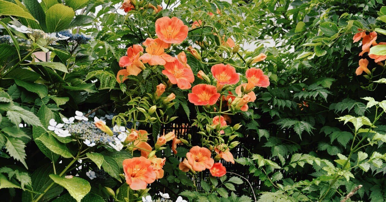 0620－0621｜温水