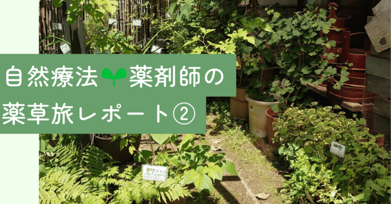 ひだ薬草旅レポート②｜自然療法🌱薬剤師/ハーブボール調合師のnote｜彩irodori AYA