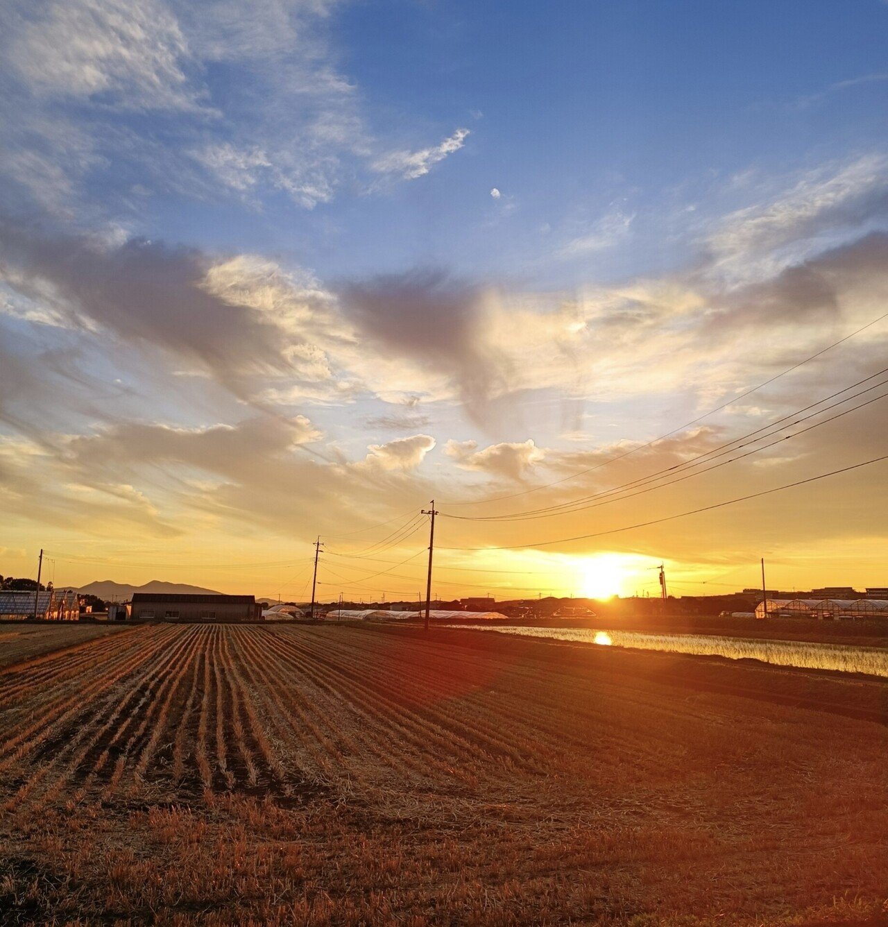 sora_purecolorx86｜note