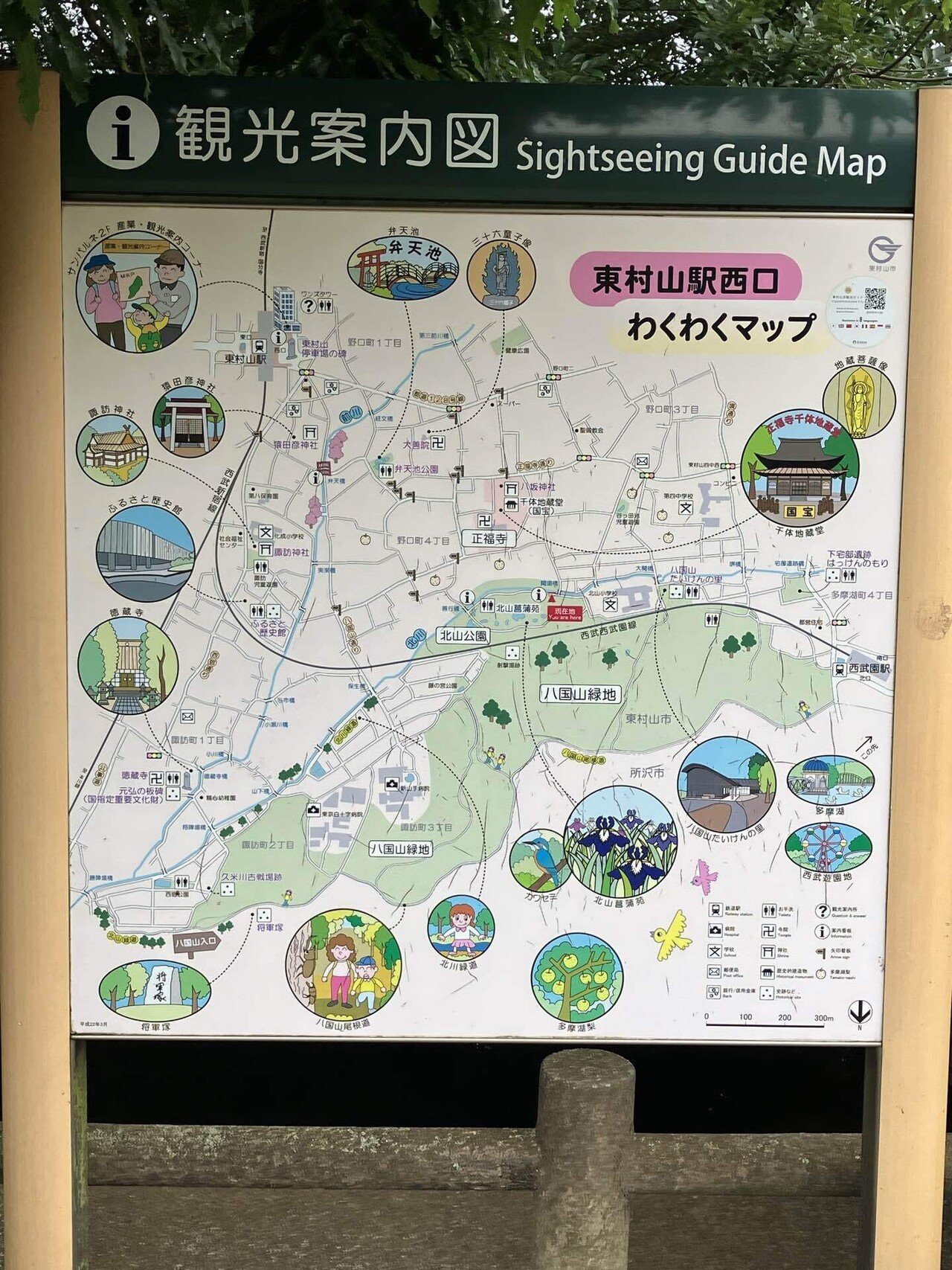 北山公園の菖蒲｜yoshie_FW