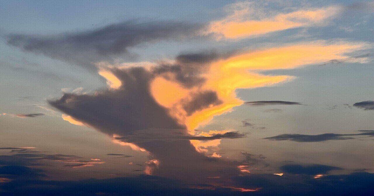 私の覚悟｜takami