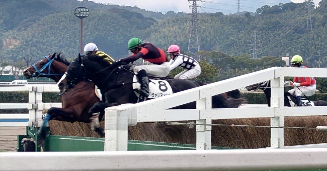 2024年上半期「このレースが良かった」5選(※ただしG1、Jpn1競争を除く)｜ただやす