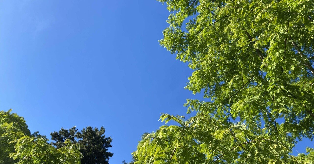 “DeGender”(slumpoet)｜K Phoenix (Queering “Studies” Project)