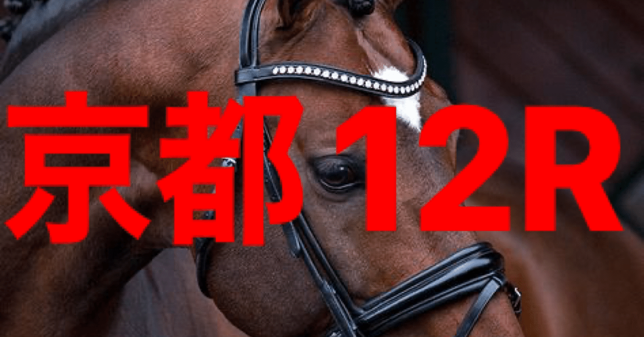 6月23日(日)京都12｜パドック師匠【PD master】公式🌐