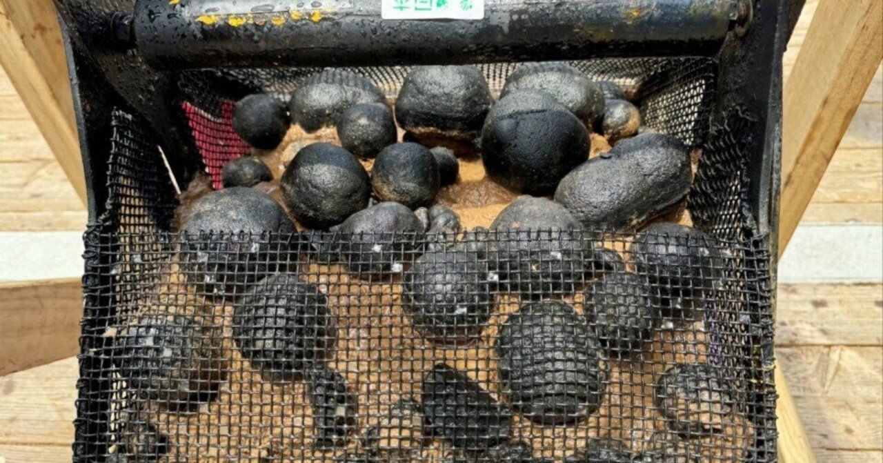 海外の反応：「採算は合うの？」南鳥島付近でレアメタル豊富なマンガン団塊が発見される｜ドミー｜ざぱとす＠海外の反応