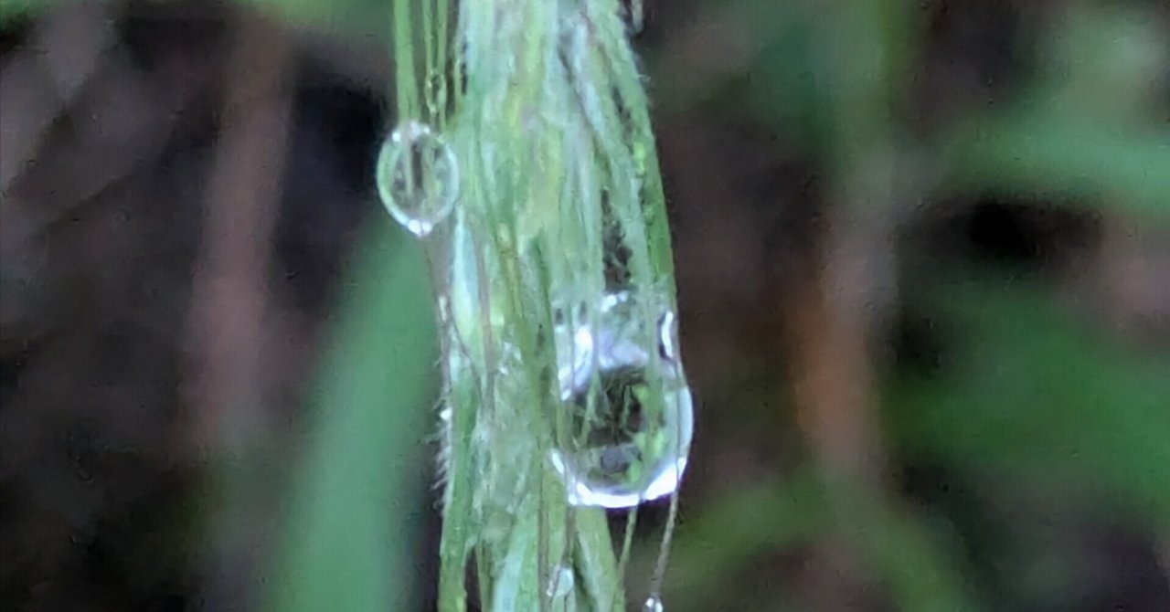 一枚の画像〜｜ichiro70