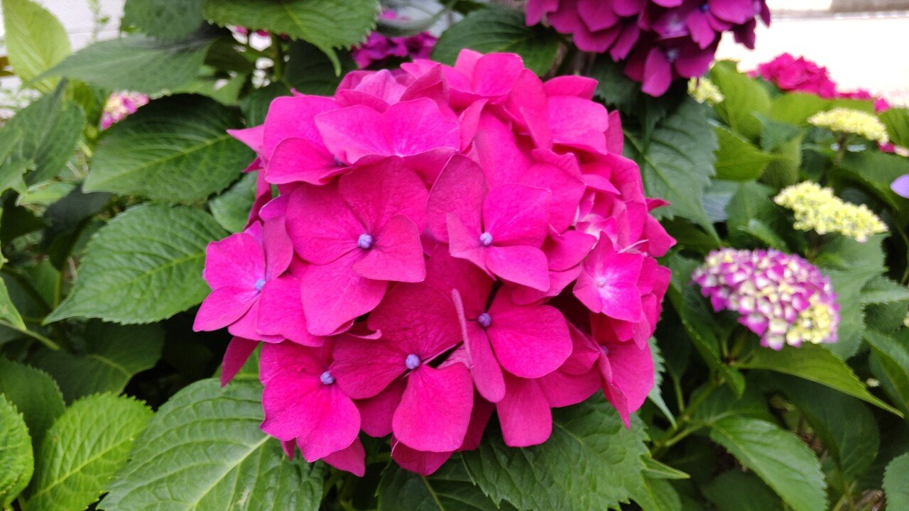 Sinri～真理901～ 推し活を推奨 感覚派 心理カウンセラー &スピリチュアル メンタルヒーラー｜note