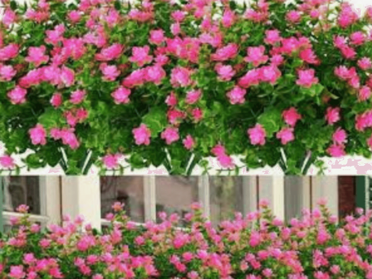 皆様 ごきげんよう ️私がOL時代に【強引にコネ入社してきた39歳独身自称御曹司語録】があまりにもfoolishなので微笑んでいただけたら幸甚 ...