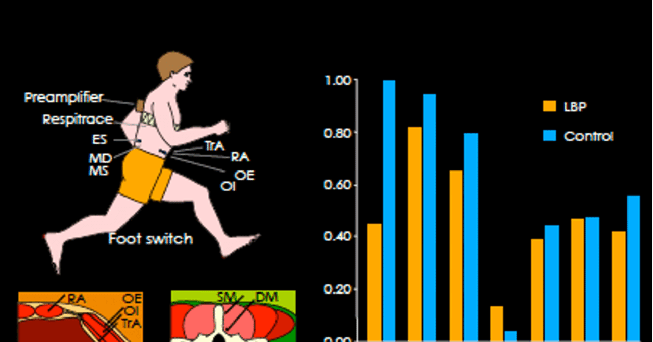 20240624: 筋疲労・クリープ・体幹神経筋反応・姿勢調整・予期せぬ外乱｜Brain storm conditioning 〜 脳からコンディショニング