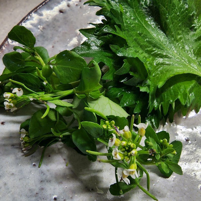 TOMOKO_無限水｜note