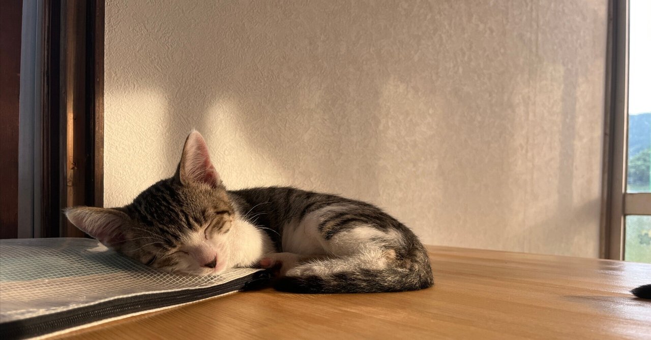 awai Sou / 佐藤 草 ともにいのちを生きる｜note