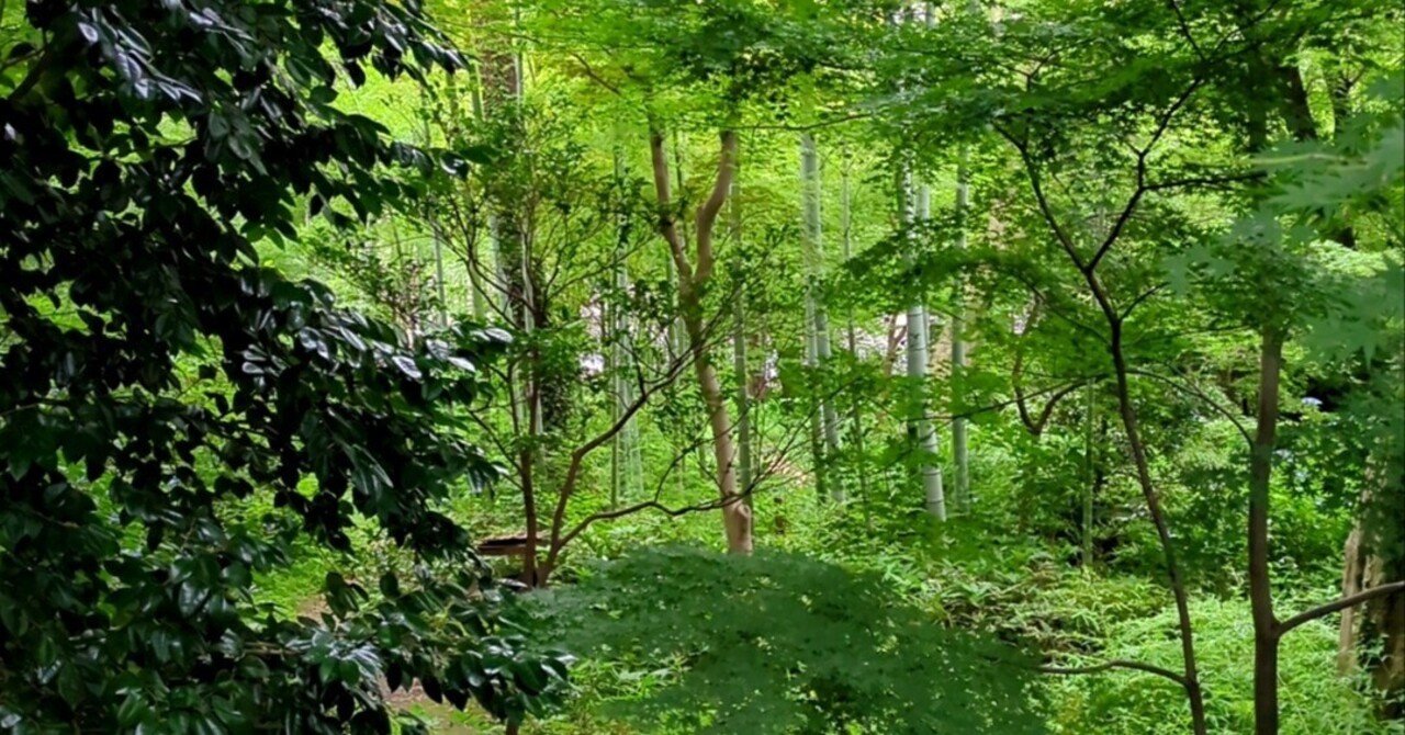 詩ことばの森（189）「夏の闇」｜UNWIND&KOMOREBI