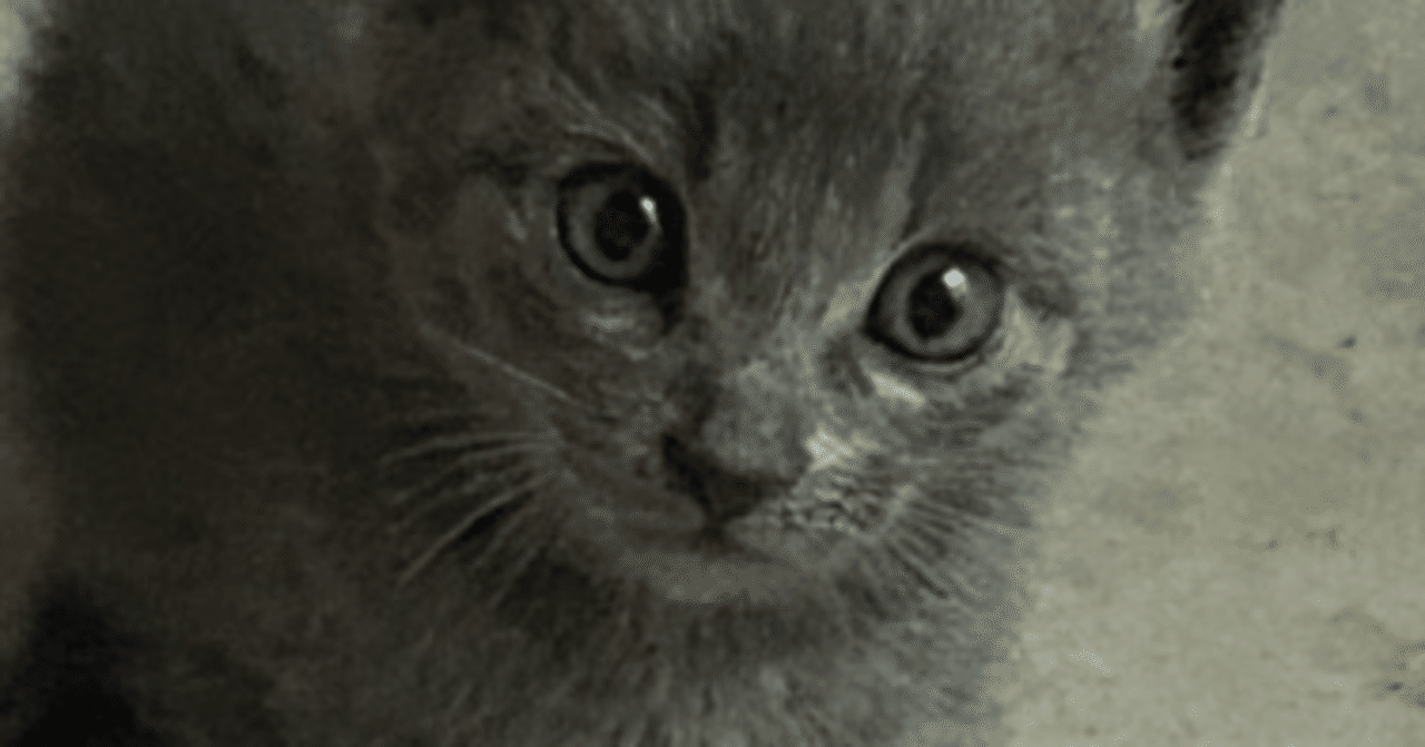 ⚡CDTV⚡｜naho-21