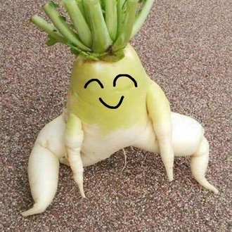 nazonodaikon_uma｜note