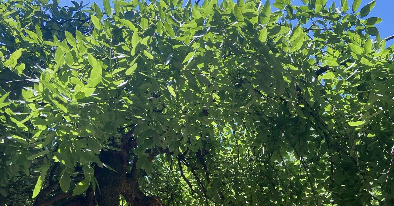 満員電車で想いを馳せる｜Nagii