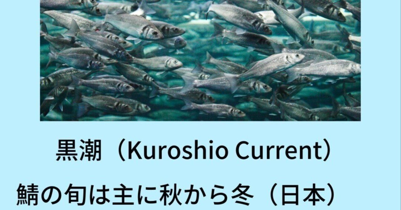 鯖 好きですか？ 各国の料理｜YOSHIMI TSUJII