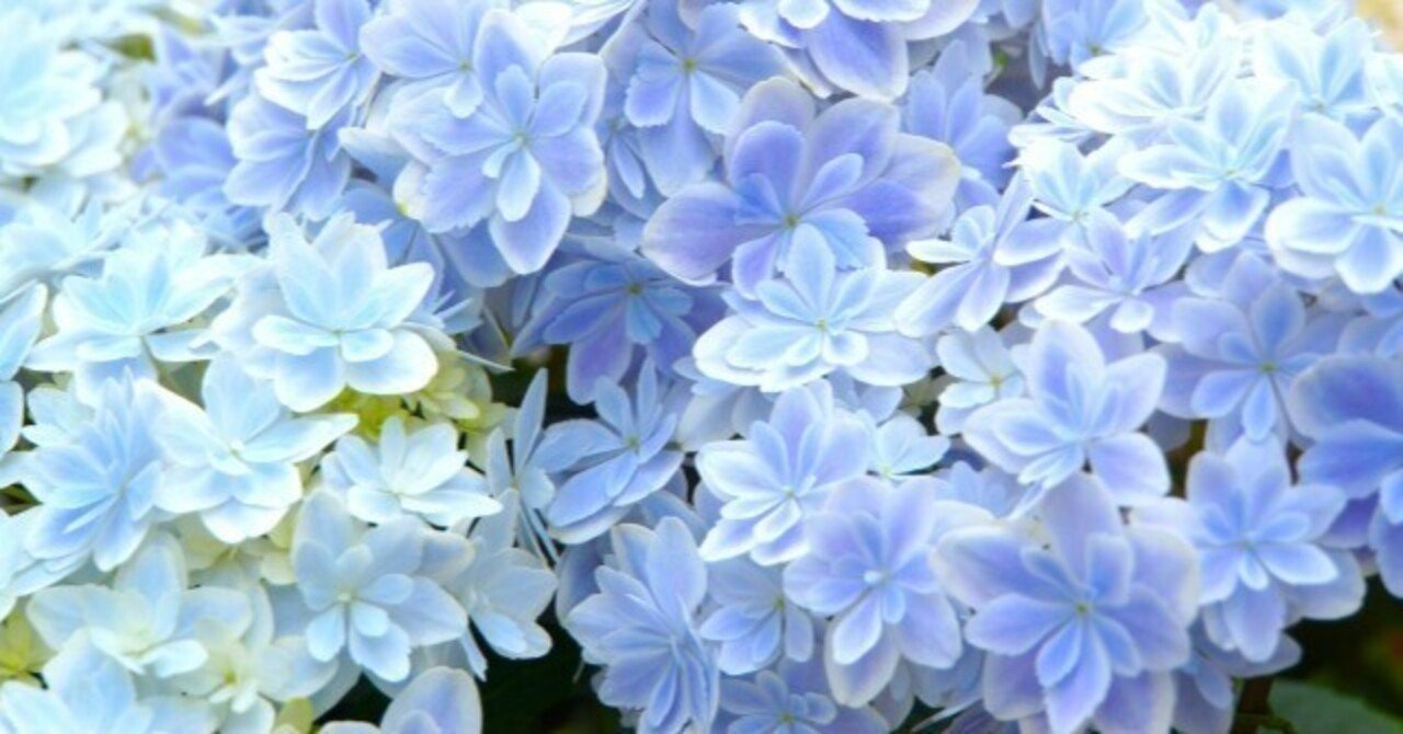 もうすぐ命日｜Gtomo