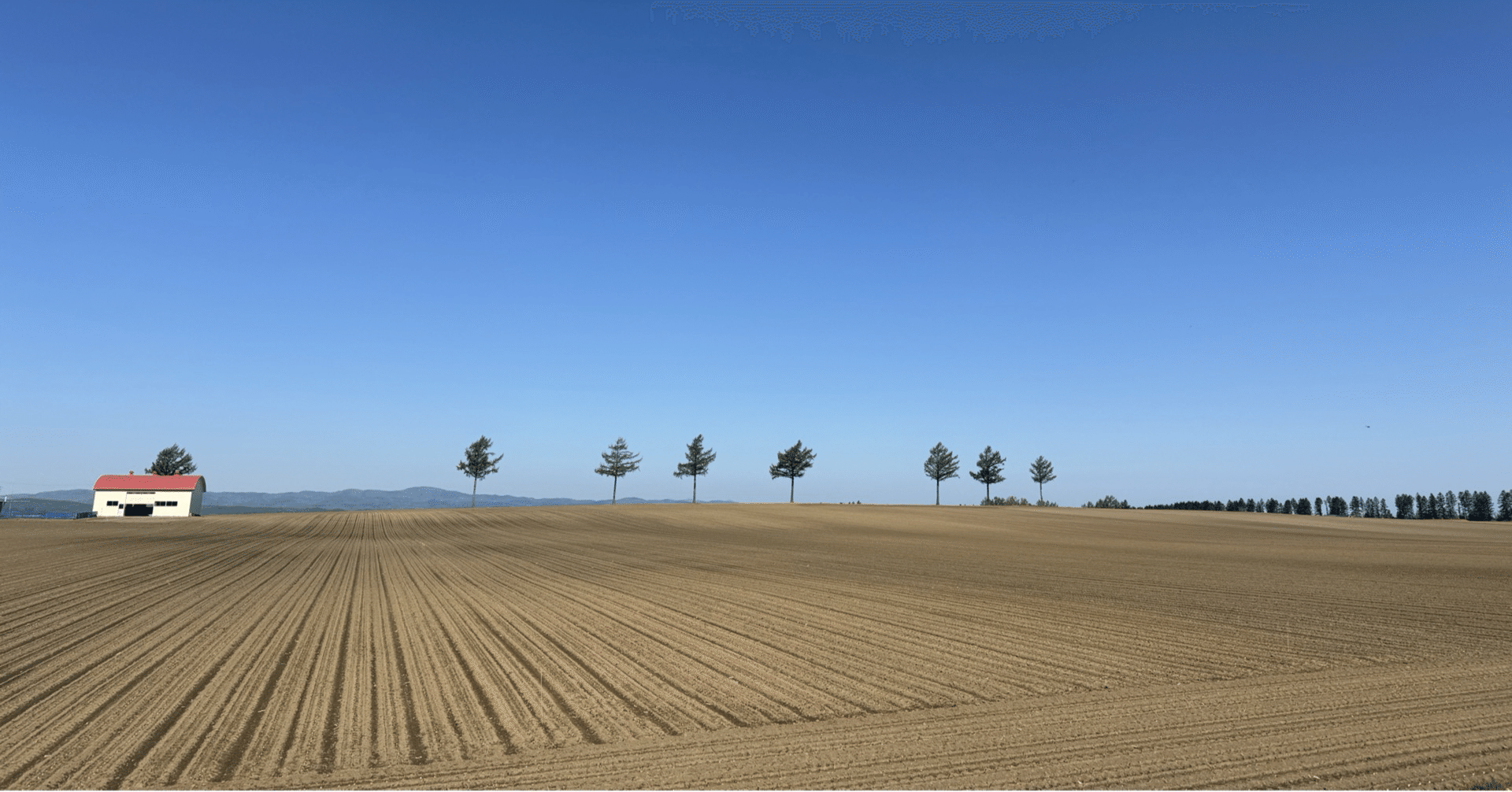 Yuta Yamaki@地域医療｜note