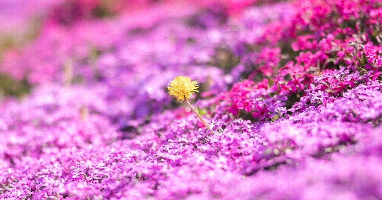 自己紹介 . 𖥧𖧧 ˒˒はじめてのnote｜Yuco